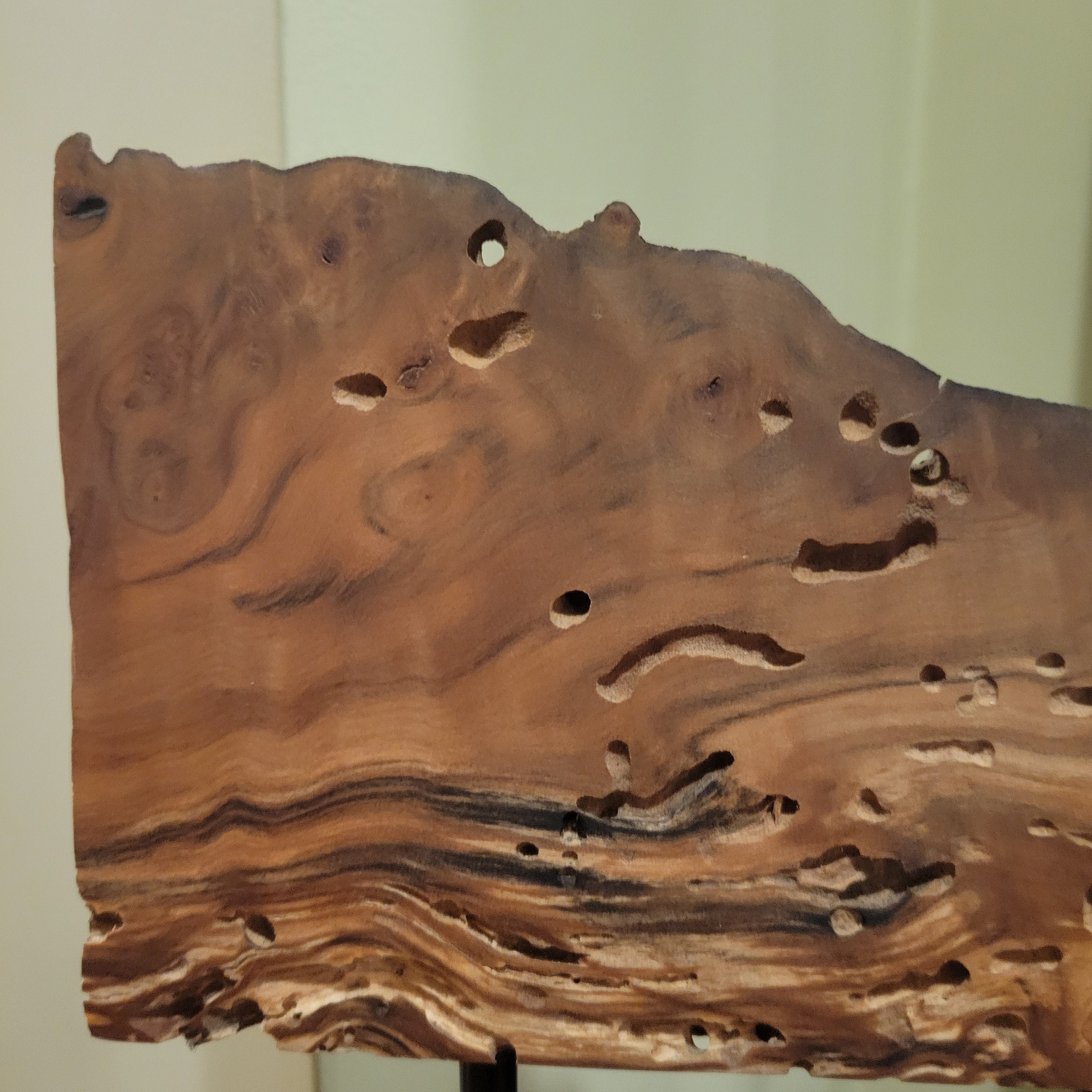 Live Edge Wormy & Burly Apple Wood Slab Sculpture - Etsy