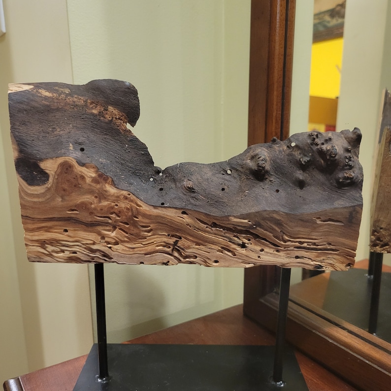 Live Edge Wormy & Burly Apple Wood Slab Sculpture - Etsy