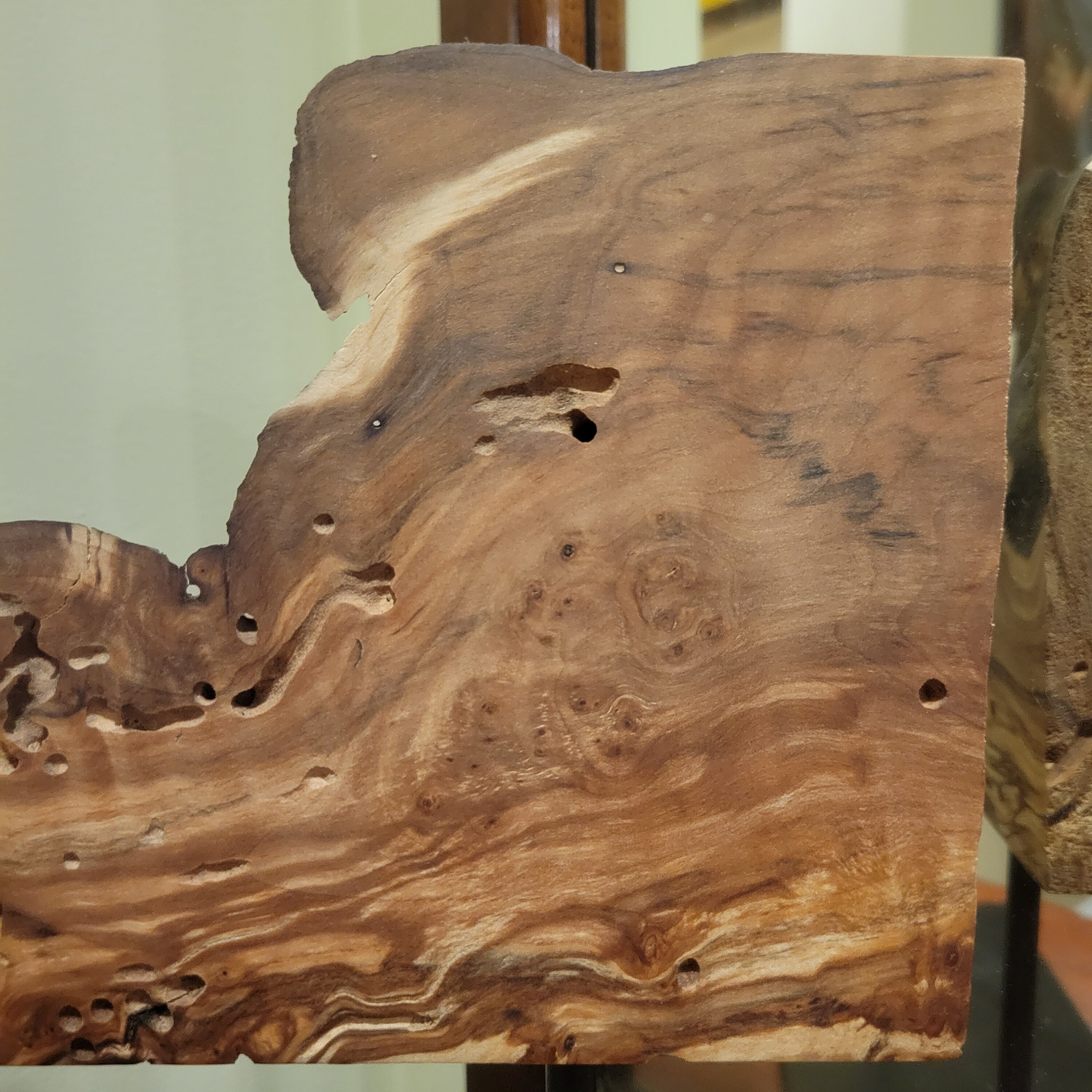 Live Edge Wormy & Burly Apple Wood Slab Sculpture - Etsy