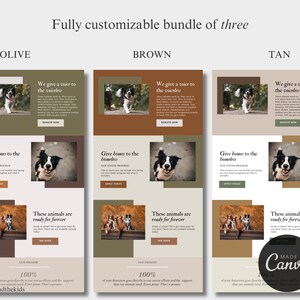 Fundraising Email Template Pack - Newsletter Templates for Animal ...