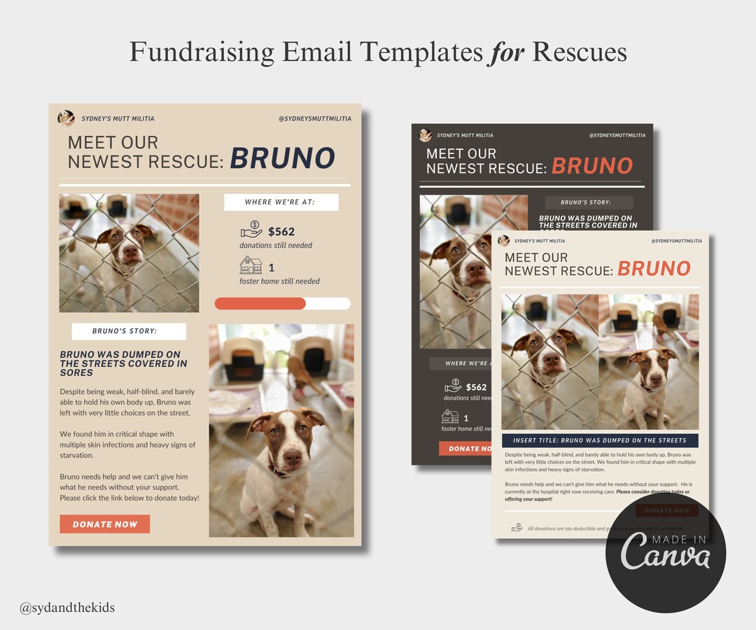 Fundraising Email Template Pack for Canva - Donation Plea Fundraiser ...