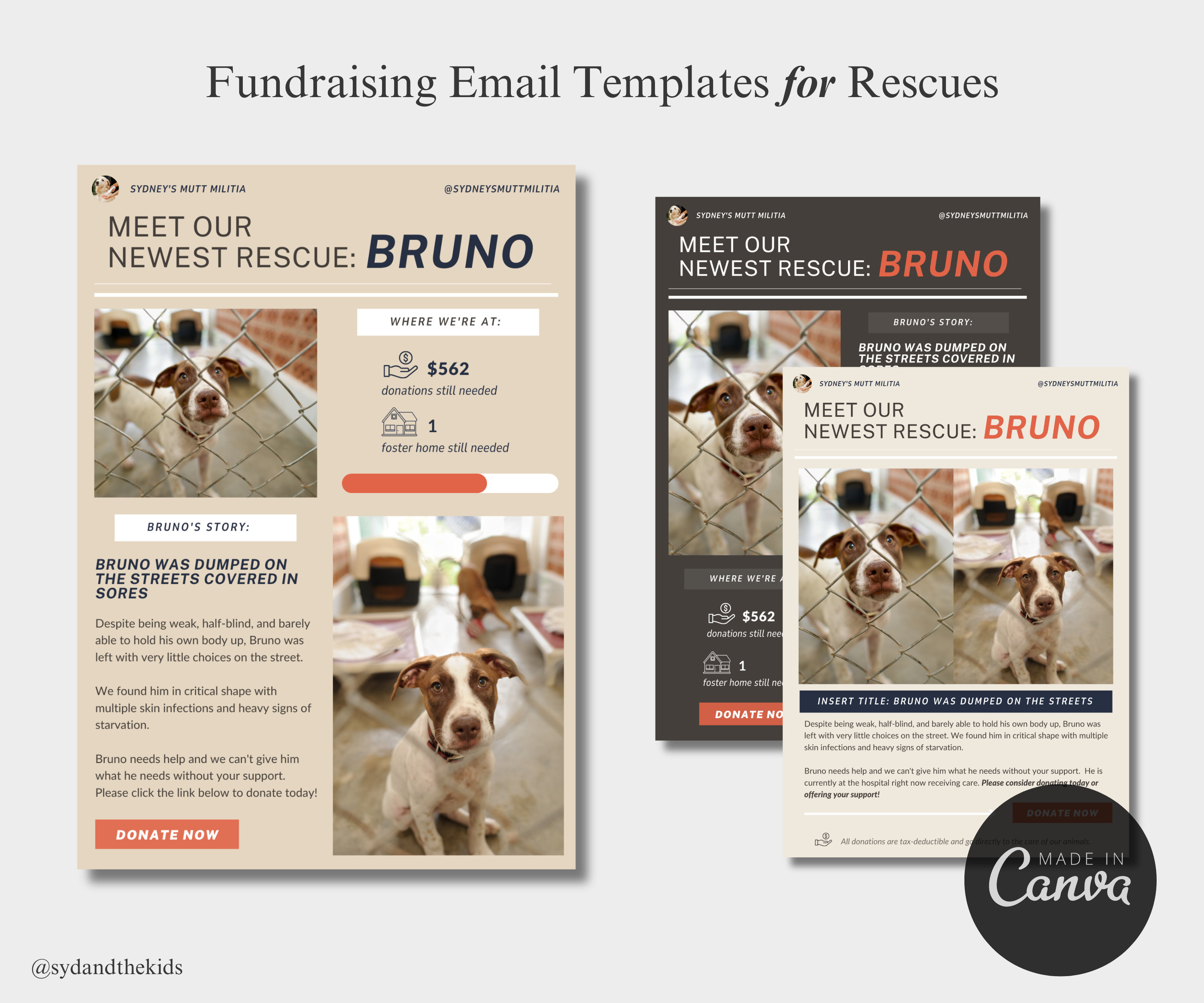 Fundraising Email Template Pack for Canva - Donation Plea Fundraiser ...