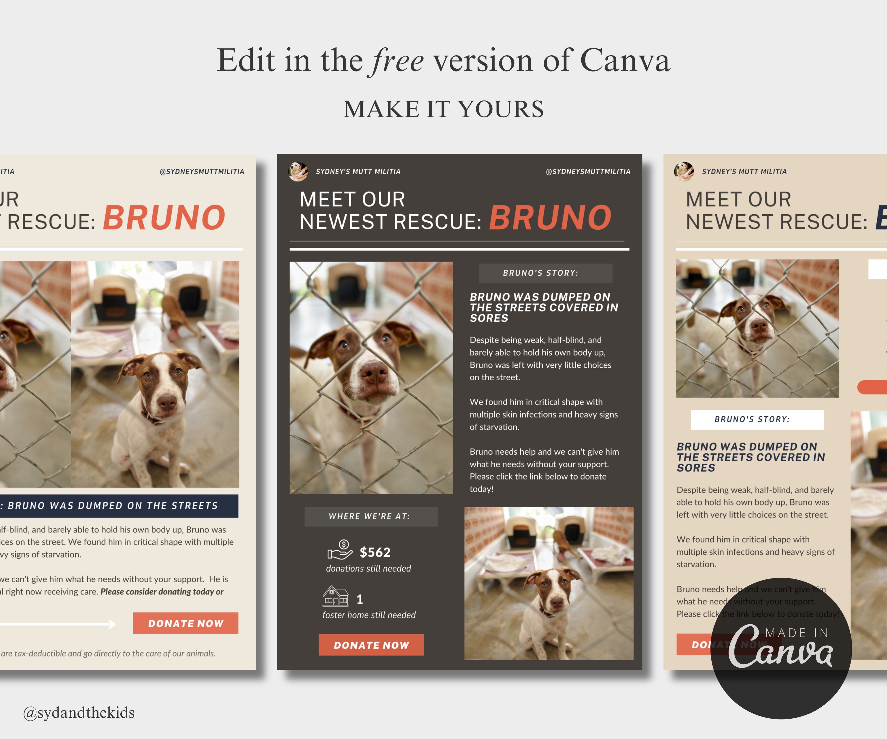 Fundraising Email Template Pack for Canva - Donation Plea Fundraiser ...