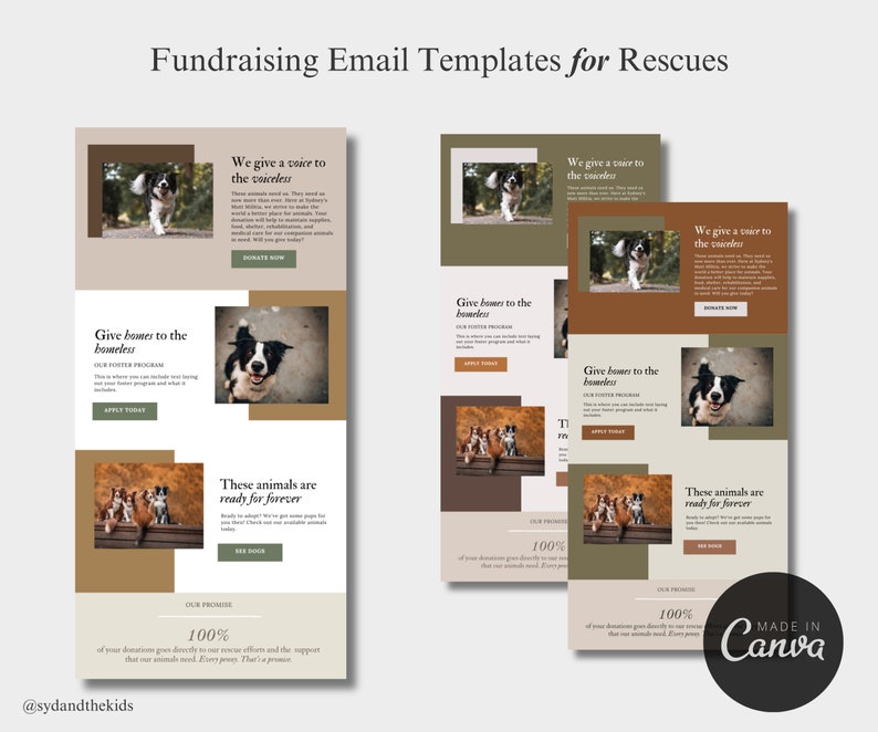 Fundraising Email Template Pack - Newsletter Templates for Animal ...