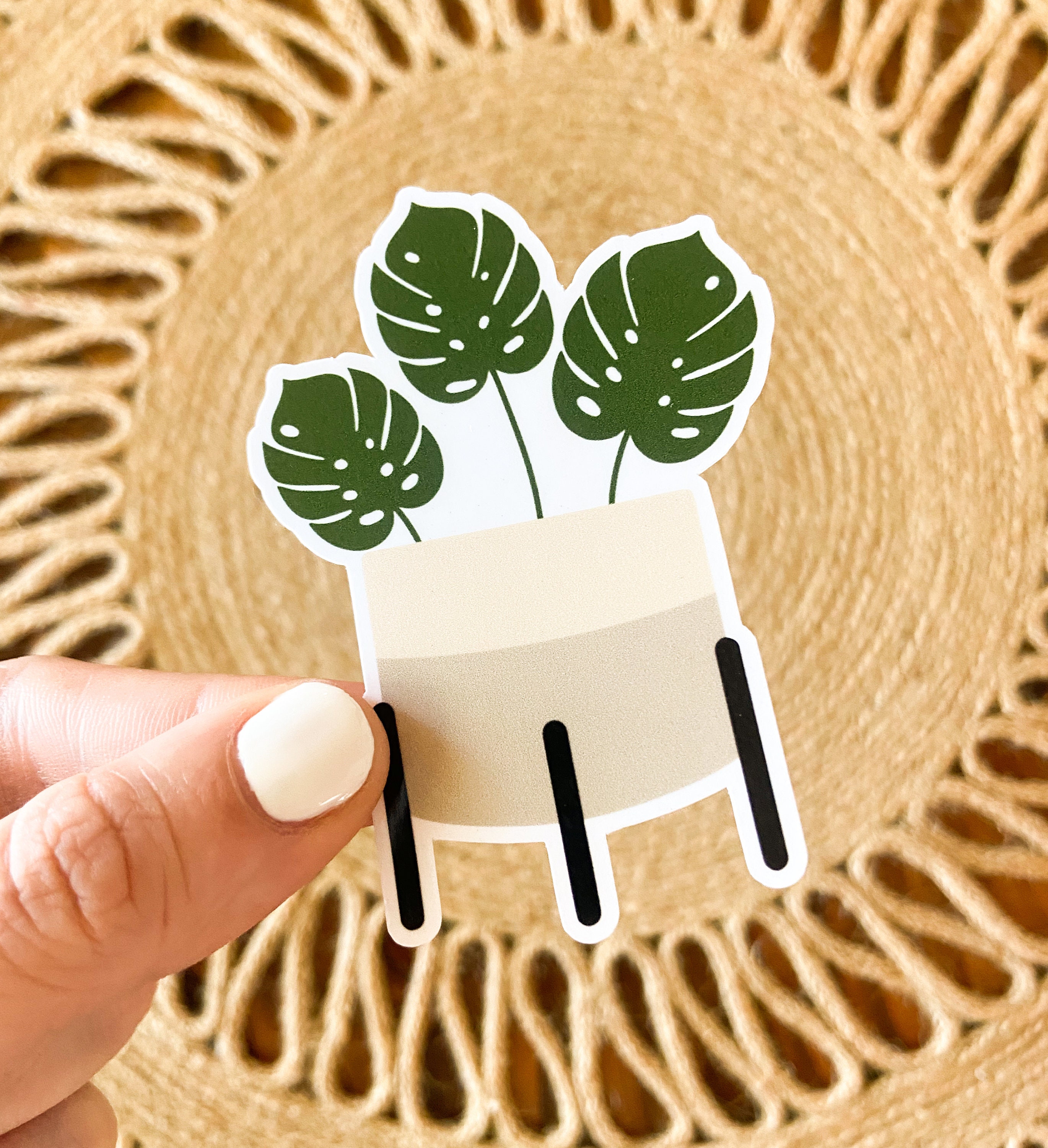 Boho Sticker Pack Choose Your Own Sticker Pack Plant | Etsy