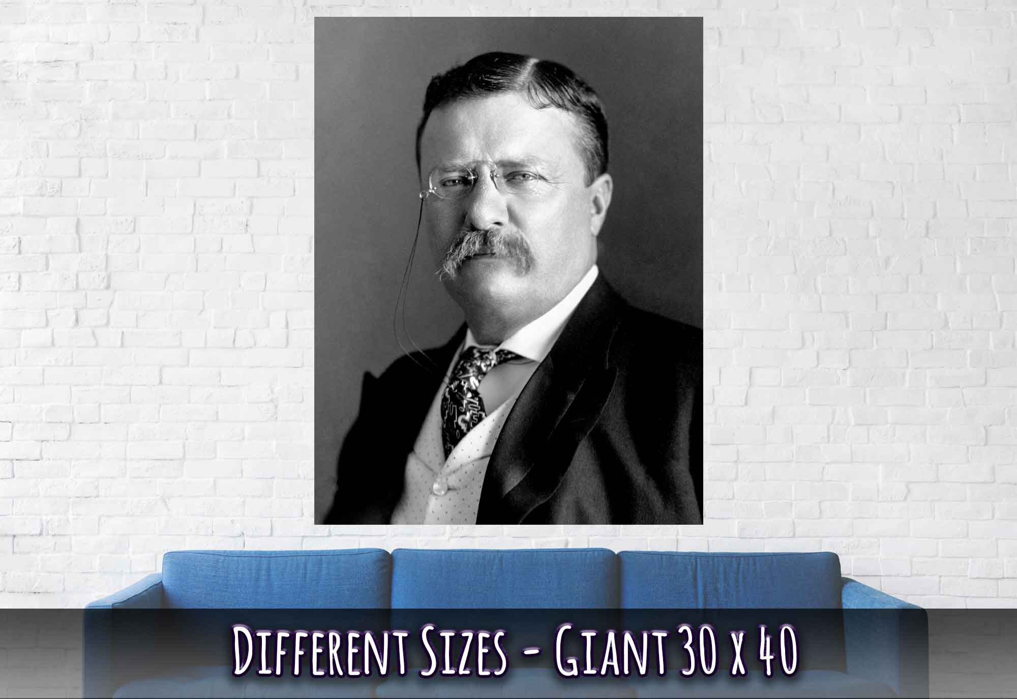 Theodore Roosevelt Poster 26th President of Usa Vintage - Etsy