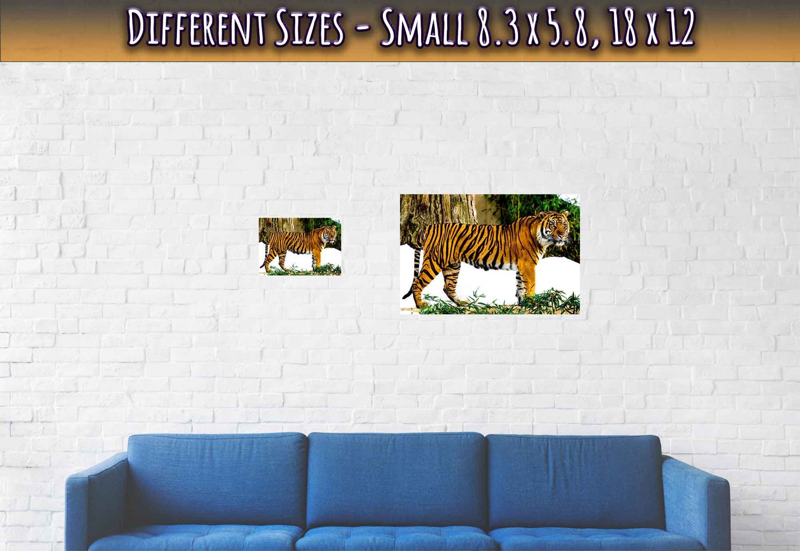 Tiger Poster, Sumatran Tiger Smithsonian National Zoo 2009 UK, EU USA ...