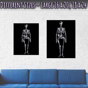 Vintage Skeleton Poster - Human Skeleton Print - George Stubbs UK, EU ...