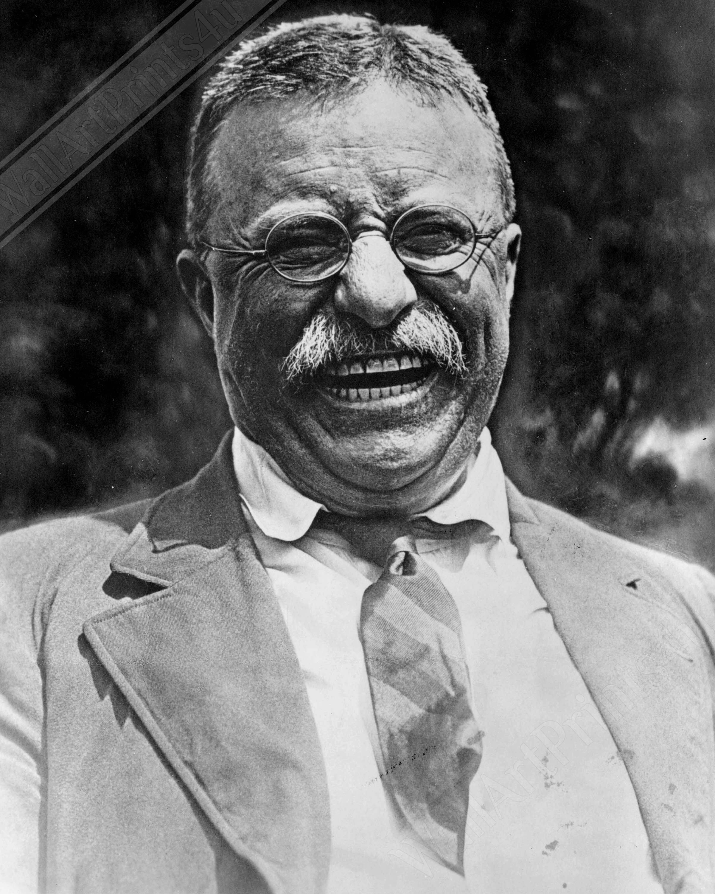 Teddy Roosevelt Poster Father of the Teddy Bear Vintage - Etsy