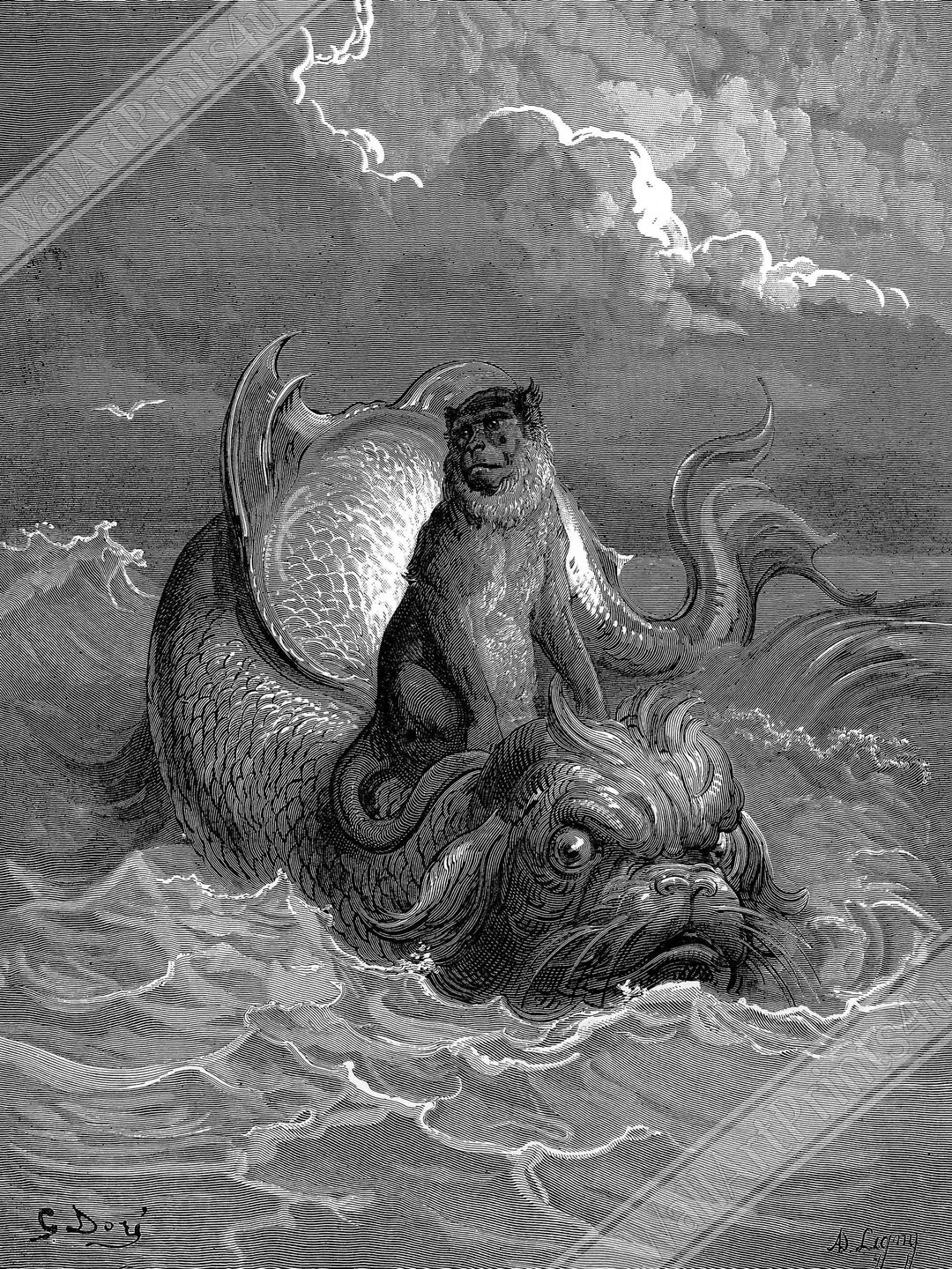 Gustave Dore Poster, Monkey and the Dolphin, From Fontaines Fables 1885 ...
