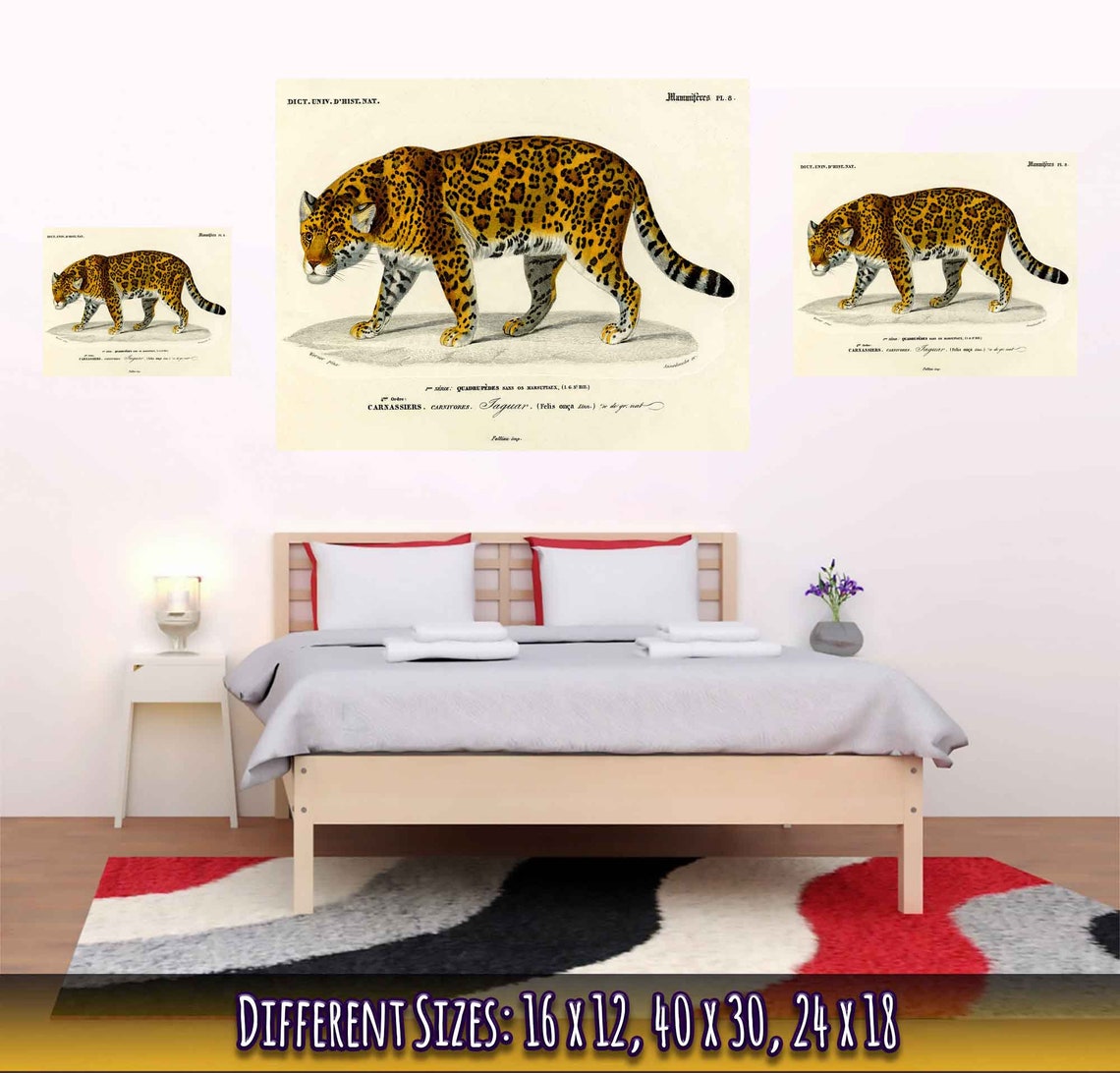 Vintage Jaguar Poster Charles Dessalines Vintage Big Cat | Etsy