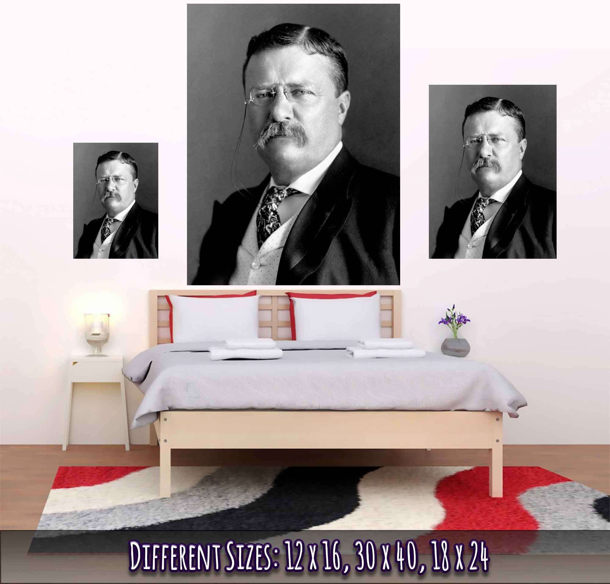 Theodore Roosevelt Portrait Poster: Vintage USA President Print - Etsy