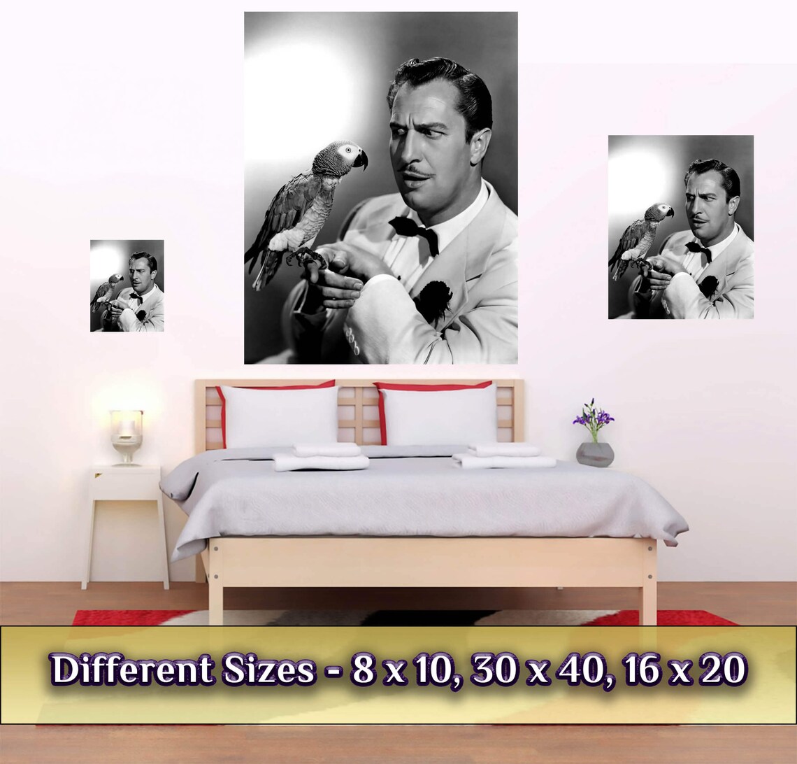 Vincent Price Poster Horror Anti Hero Iconic Vincent Price - Etsy