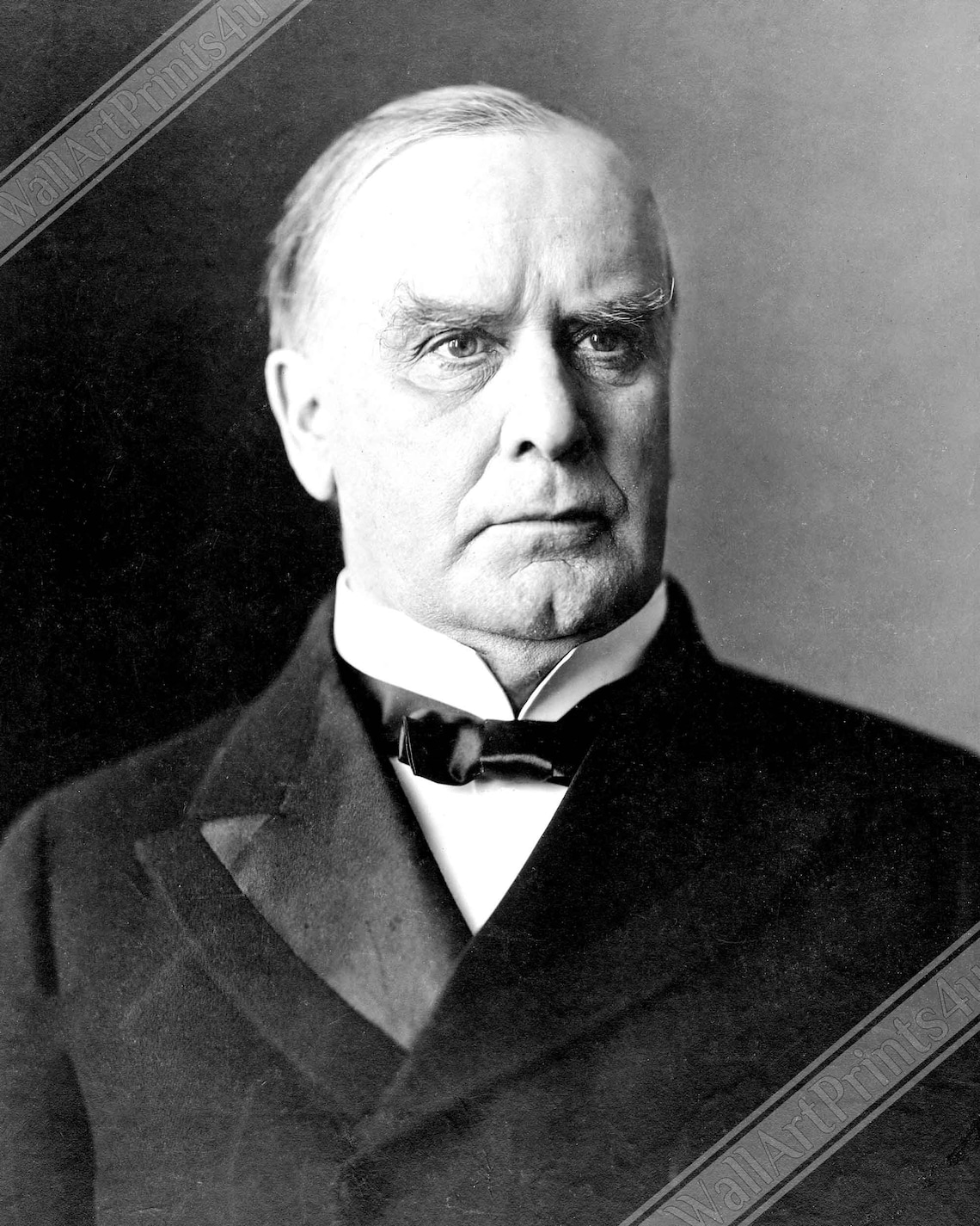 William Mckinley Poster 25th President of Usa Vintage Photo | Etsy