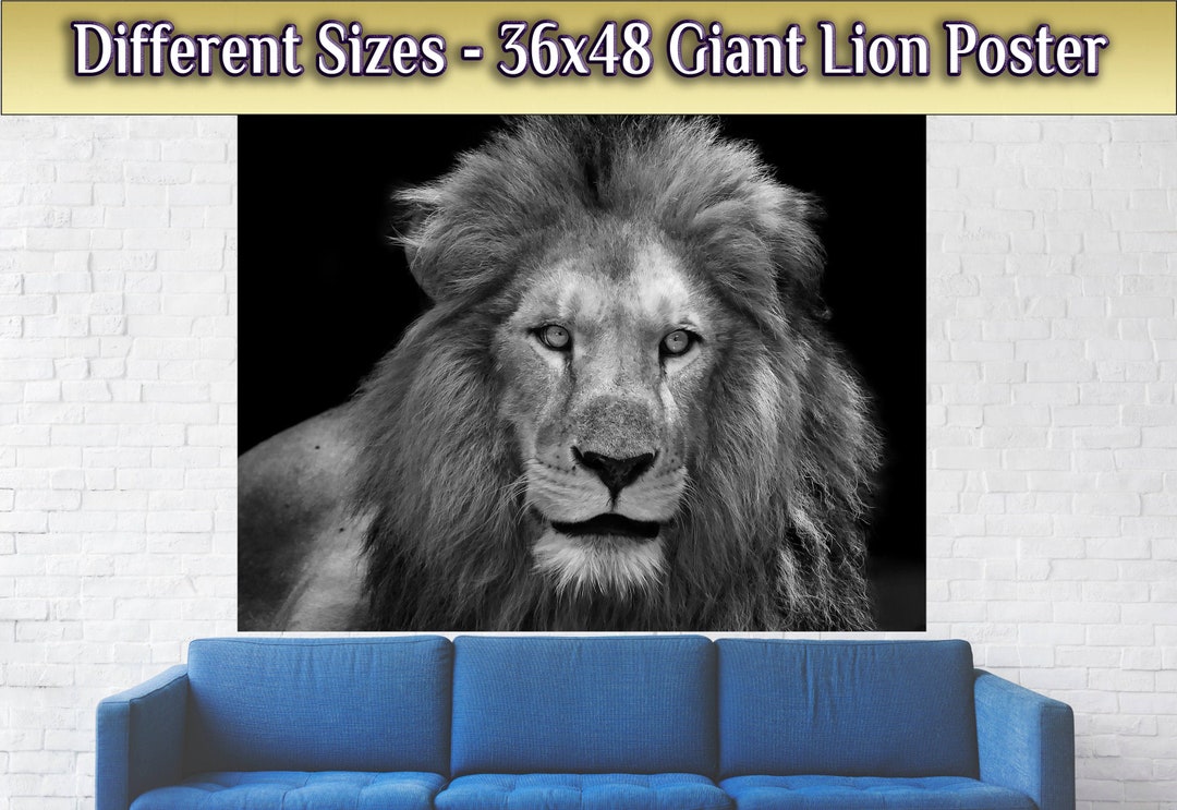 Lion Poster Black and White Giant Lion Poster, Epic Lion Wall Art ...