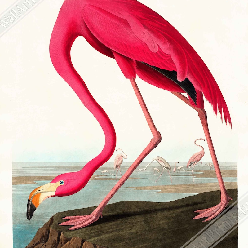 Vintage Flamingo - Etsy