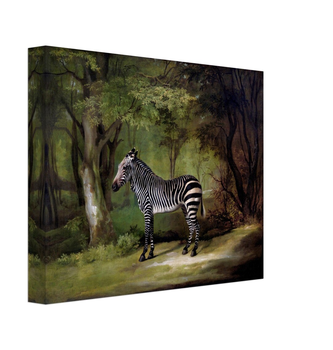 Zebra Canvas, Vintage Zebra Art - Vintage Zebra Canvas Print - Etsy