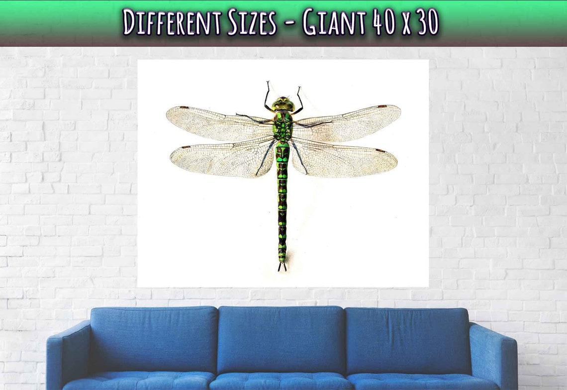 Dragonfly Poster Giant Dragonfly Print Vintage Dragonfly - Etsy