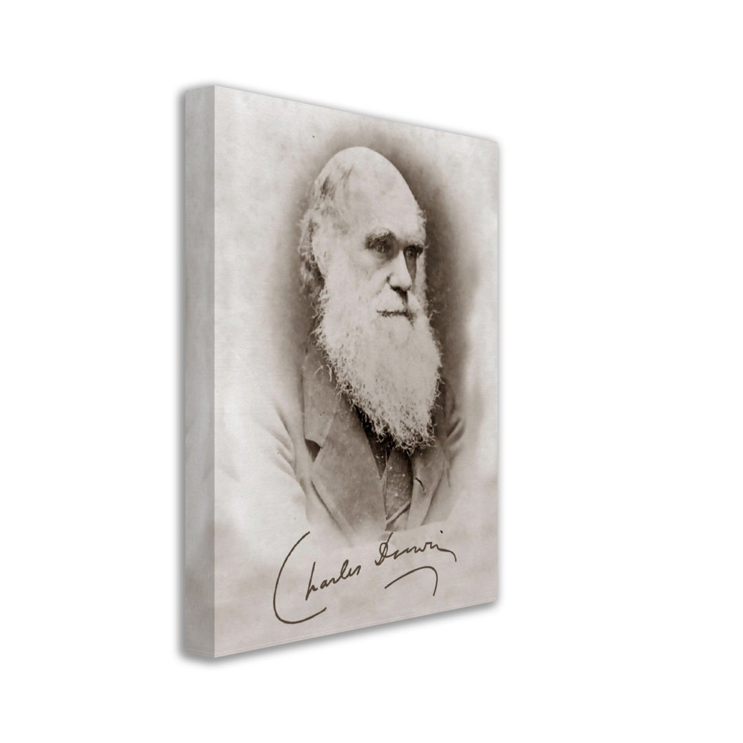 Charles Darwin Canvas Print: Vintage Evolution Theory Portrait - Etsy