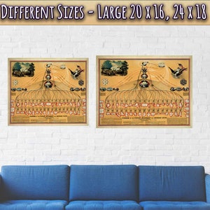 Diagram of Federal Government Poster, Historic Fed Gov American Union ...