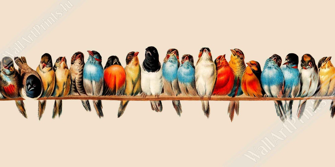 Hector Giacomelli Bird Poster: Vintage Perch of Birds Print - Etsy