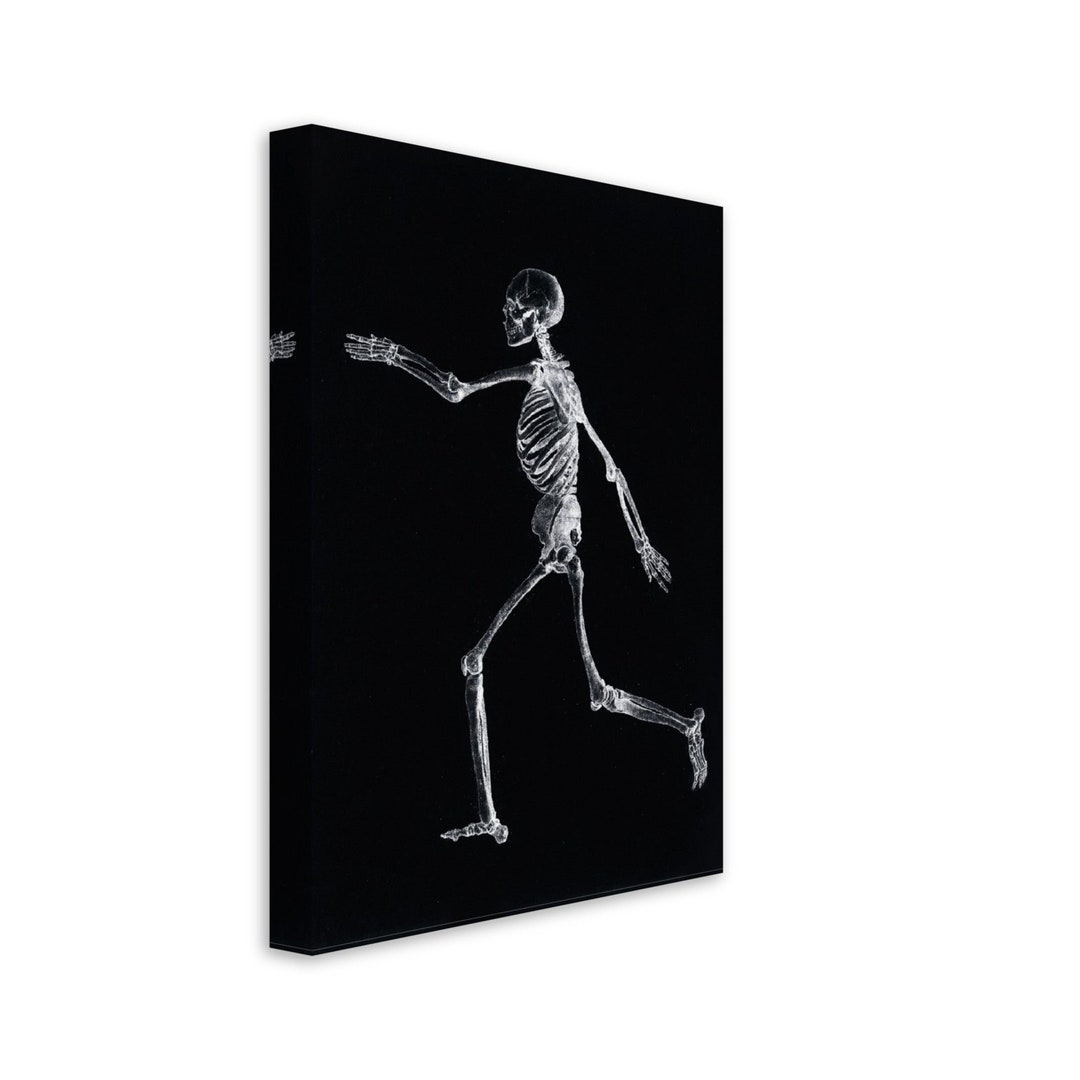 Human Skeleton Canvas, Vintage Skeleton Canvas Print Lateral View ...