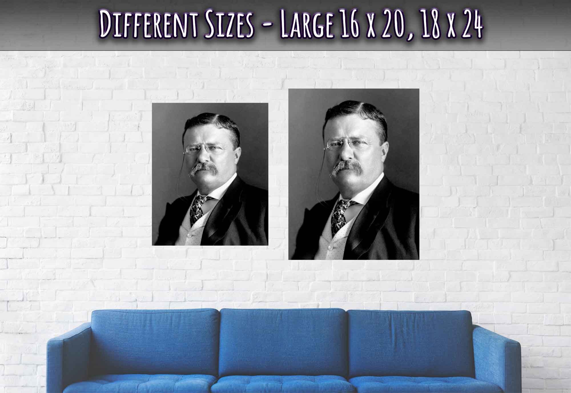 Theodore Roosevelt Poster 26th President of Usa Vintage | Etsy