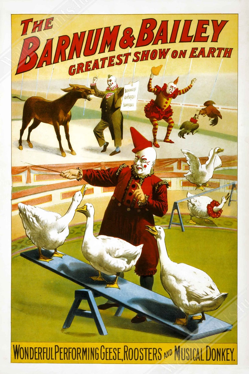Vintage Circus Poster Musical Donkey Performing Geese - Etsy