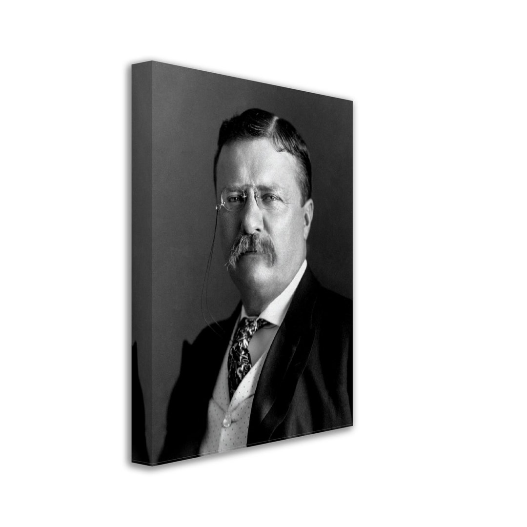 Theodore Roosevelt Canvas, 26th President of Usa, Vintage Photo ...