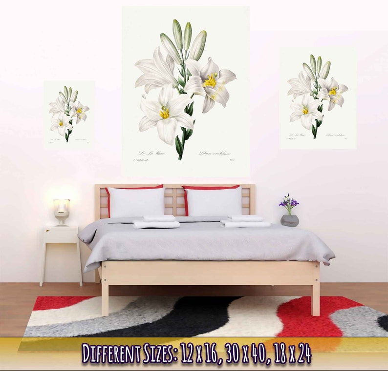 Vintage White Lily Poster Flower Wall Art Madonna Lily - Etsy