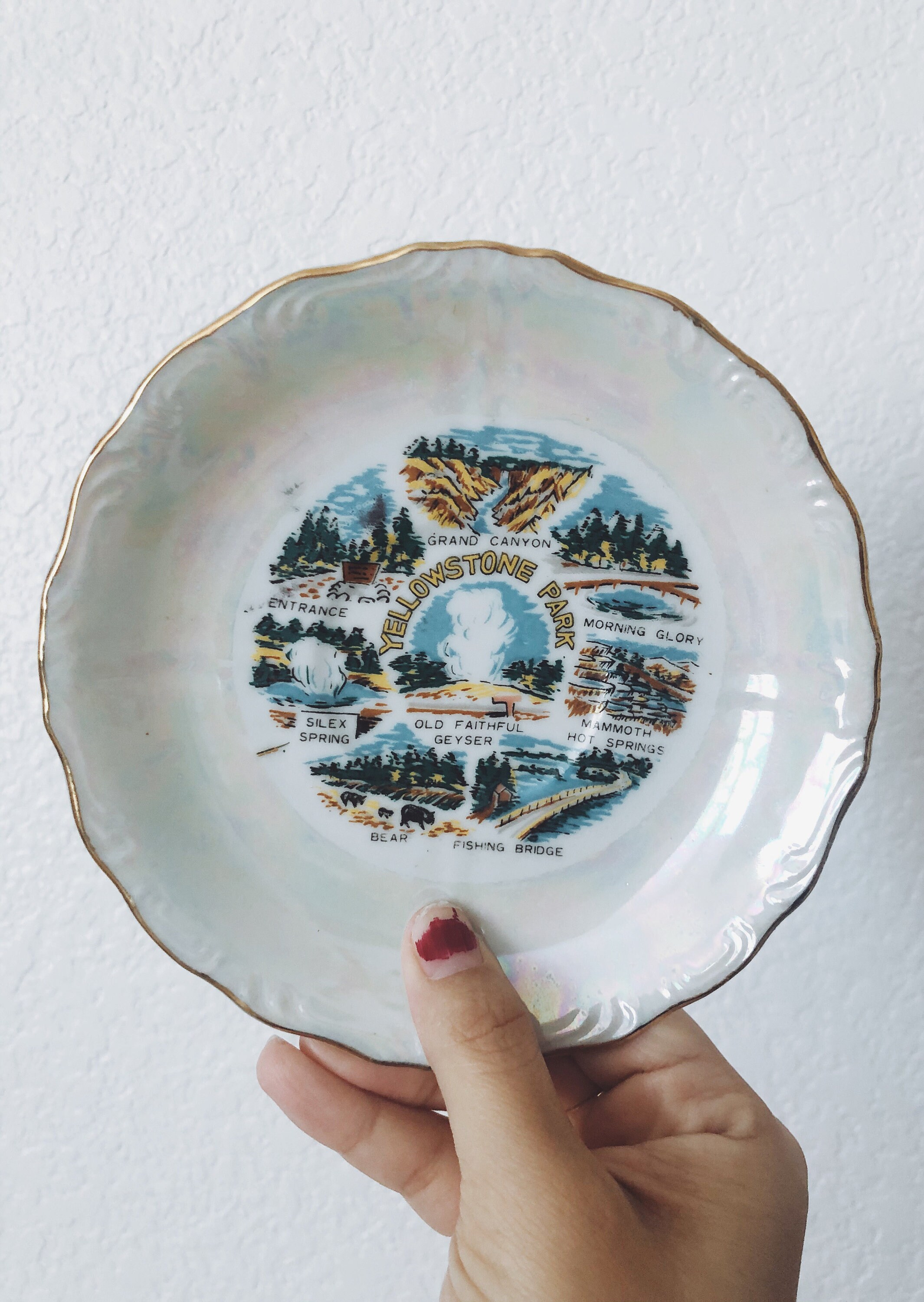 Vintage Souvenir Yellowstone Plate | Etsy
