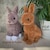Crochet Pattern Realistic Bunny Rabbit Amigurumi English PDF - Etsy