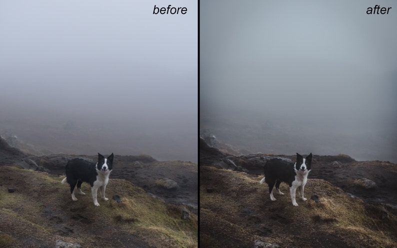 MOODY LUT & Lightroom Preset Pack Outdoor Preset Film - Etsy