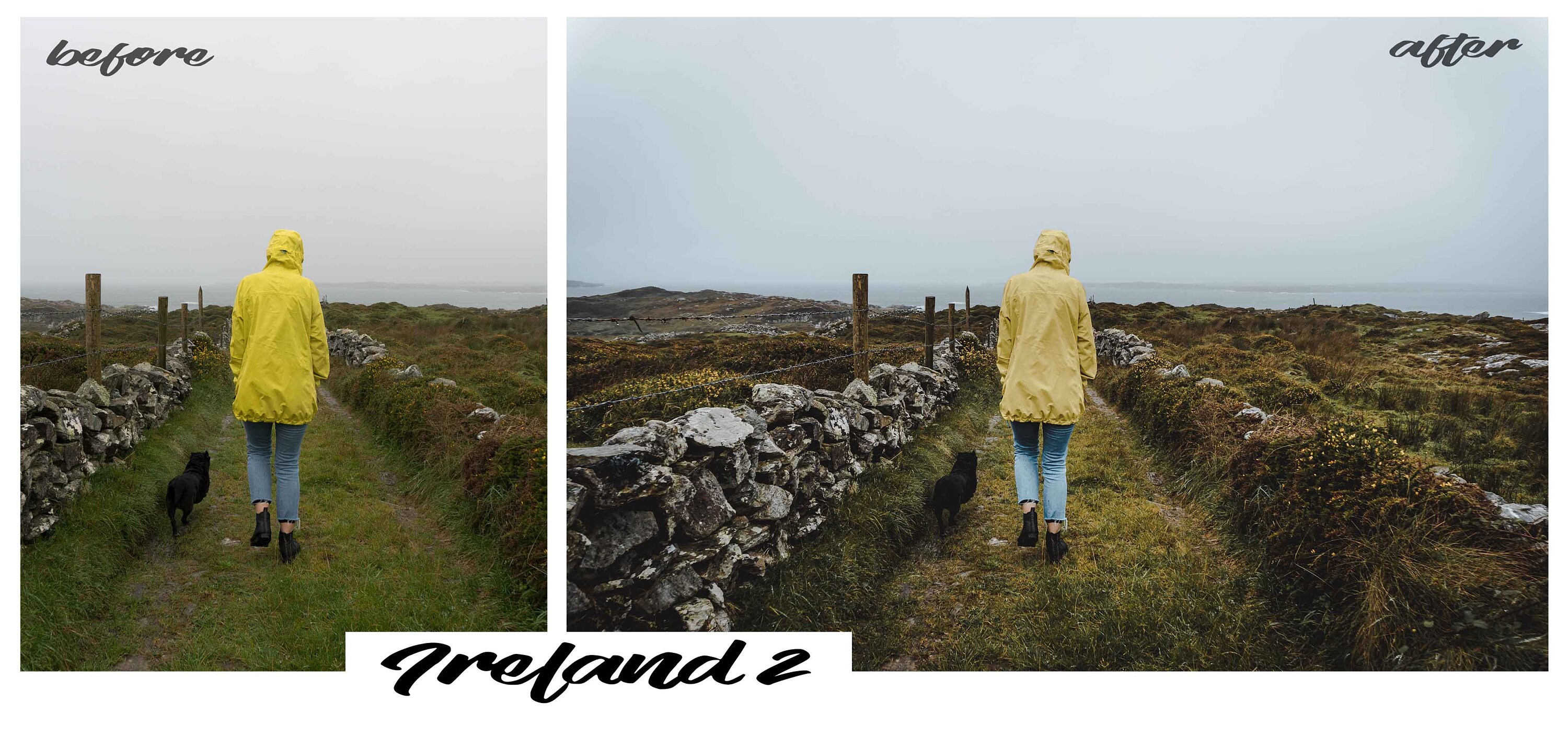 MISTY Luts for Nature & Outdoor Footage Lut and Preset Pack Lut Bundle ...