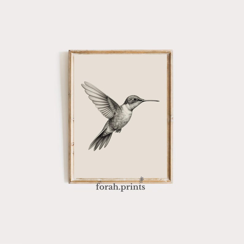 Vintage Hummingbird Sketch Art Print: Antique Botanical Illustration ...