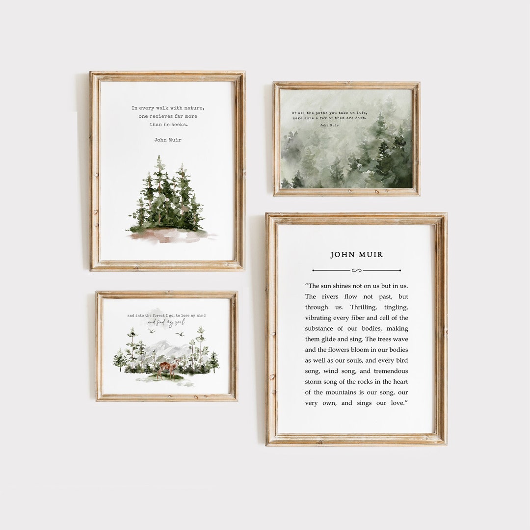 John Muir Quotes, Set of 4, the Sun Shines Not on Us Quote, John Muir ...