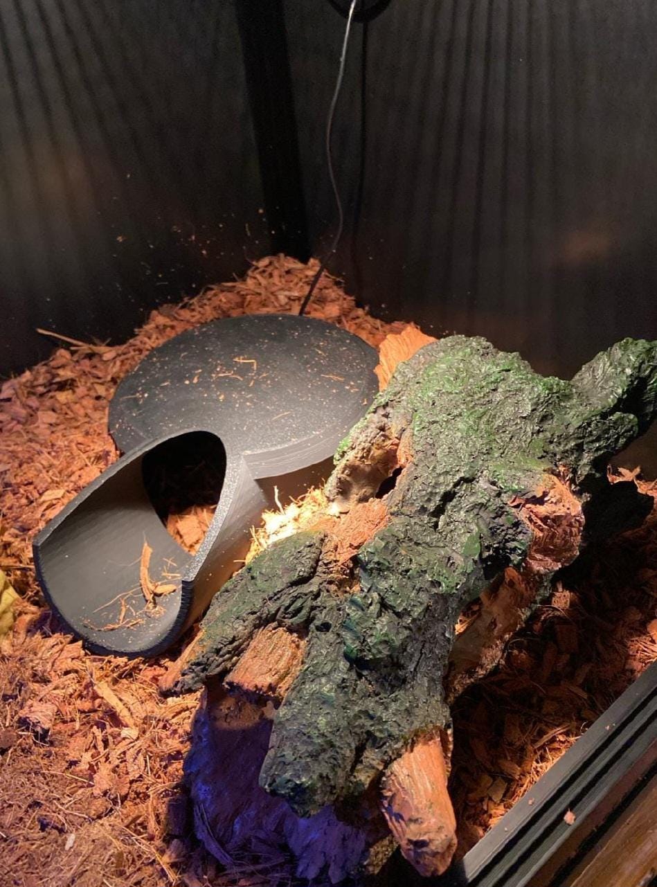 Dome Snake Hide With Tube Opening - Etsy