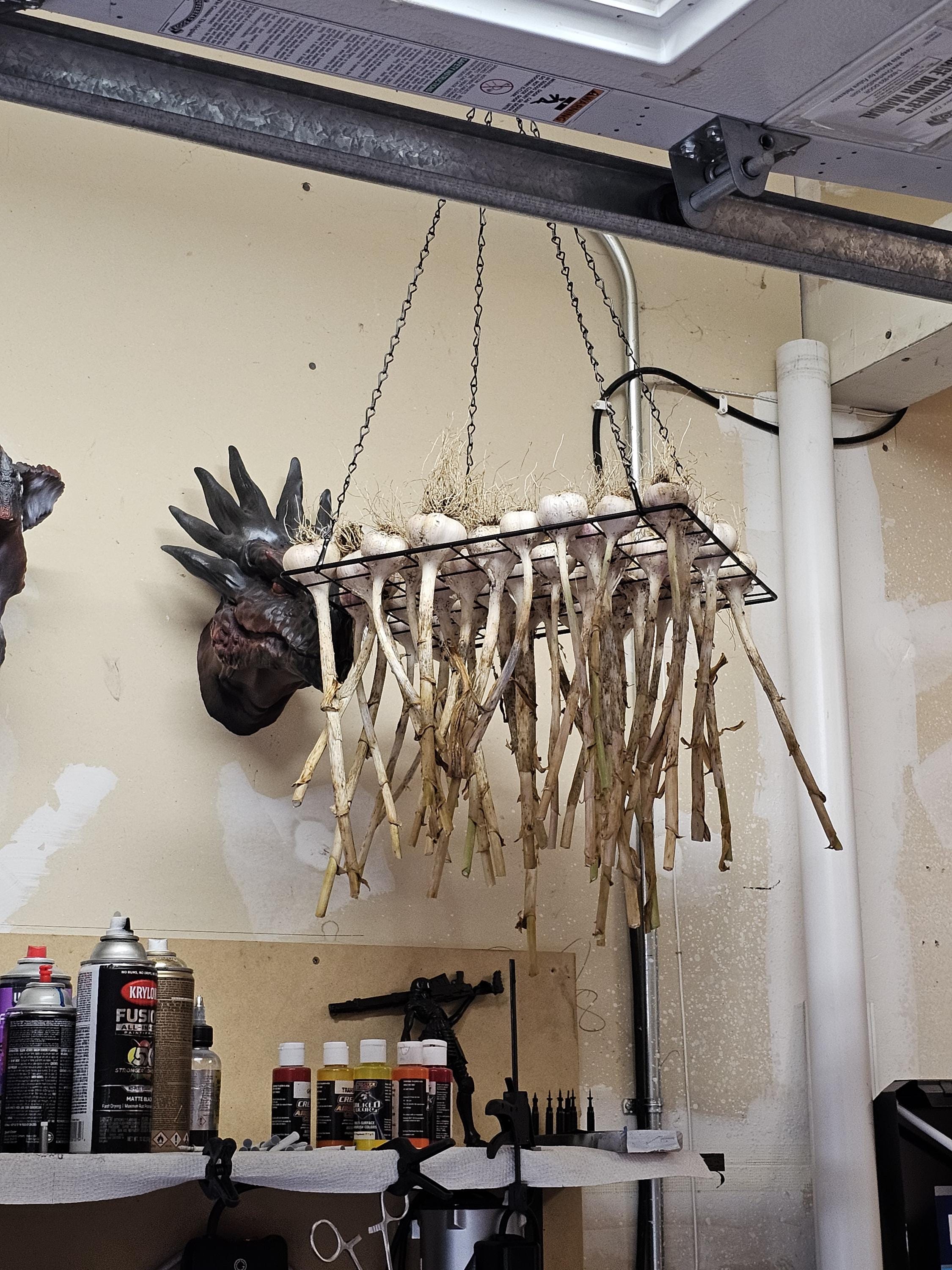 Hanging Garlic Drying Rack. - Etsy