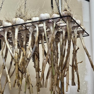 Hanging Garlic Drying Rack. - Etsy