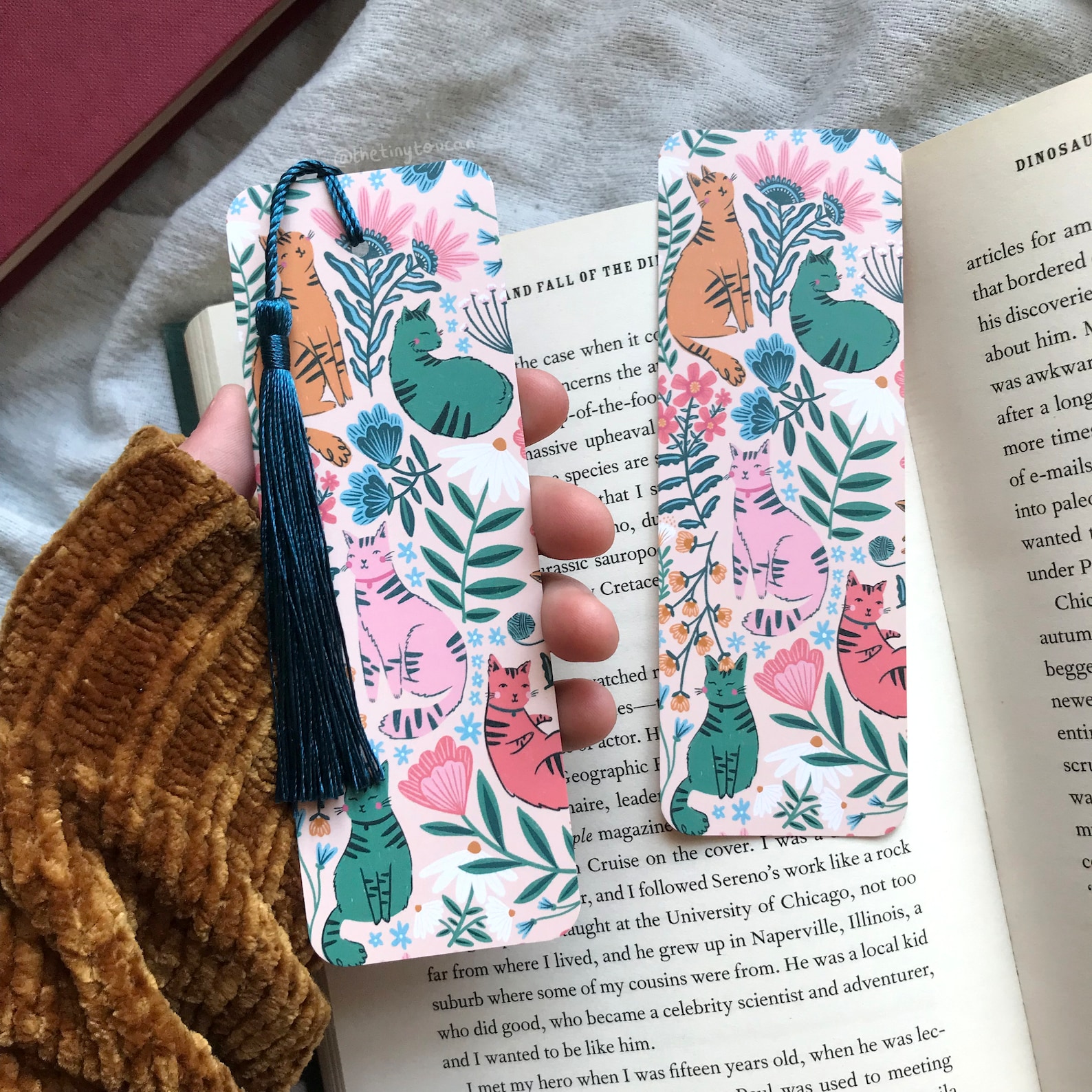 Cats Bookmark. Kitten Illustration Cat Lover Gift With or - Etsy