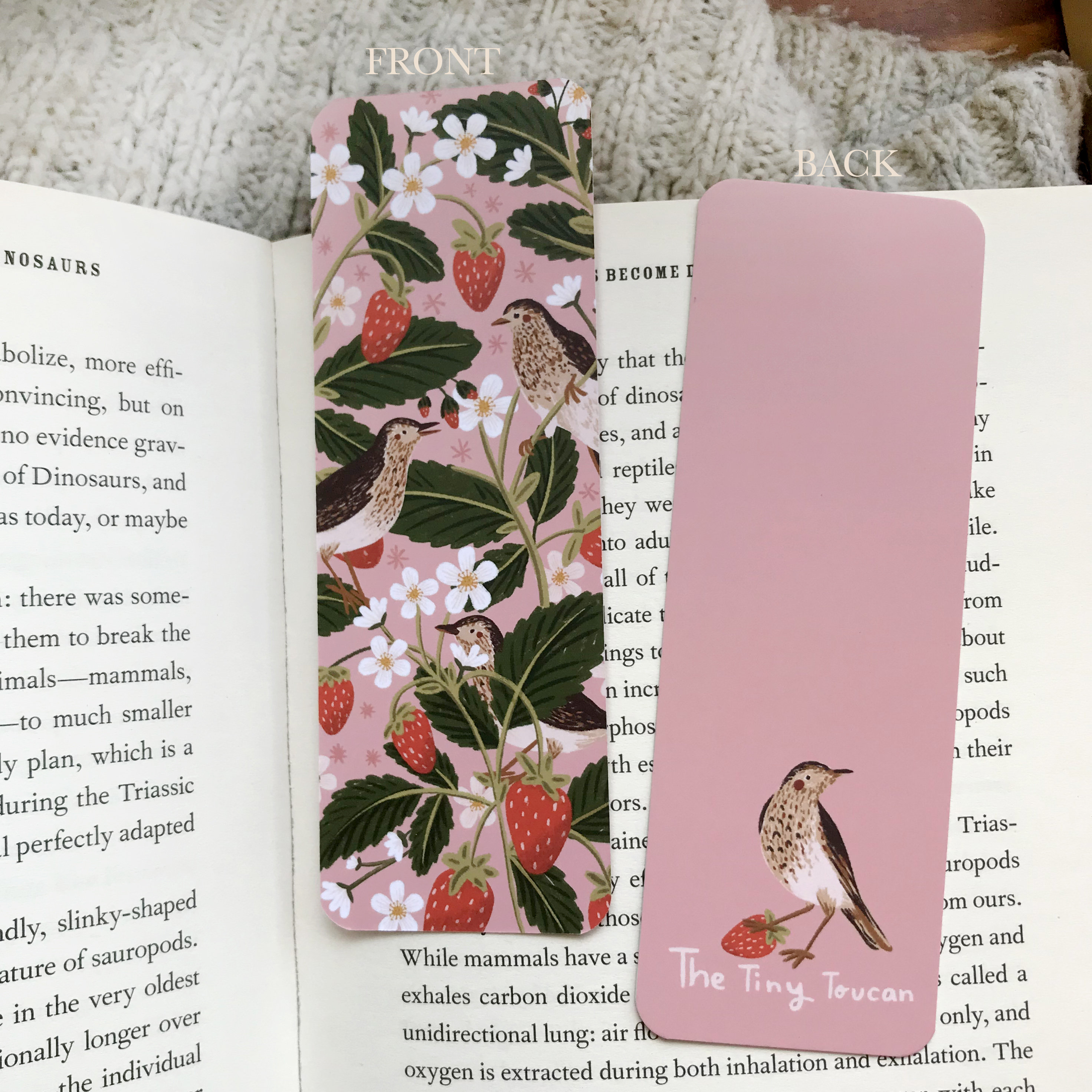 Strawberry Birds Bookmark. With or Without Tassel- Kawaii Illustrated ...