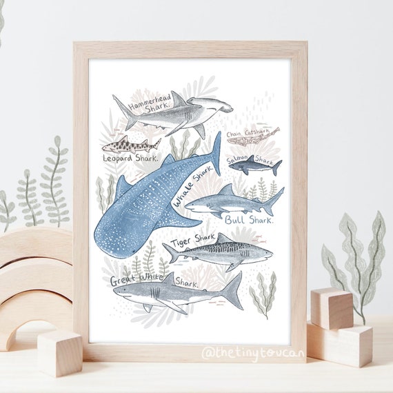 Shark Art Print Learn My Sharks Boho Kids Decor Shark | Etsy UK