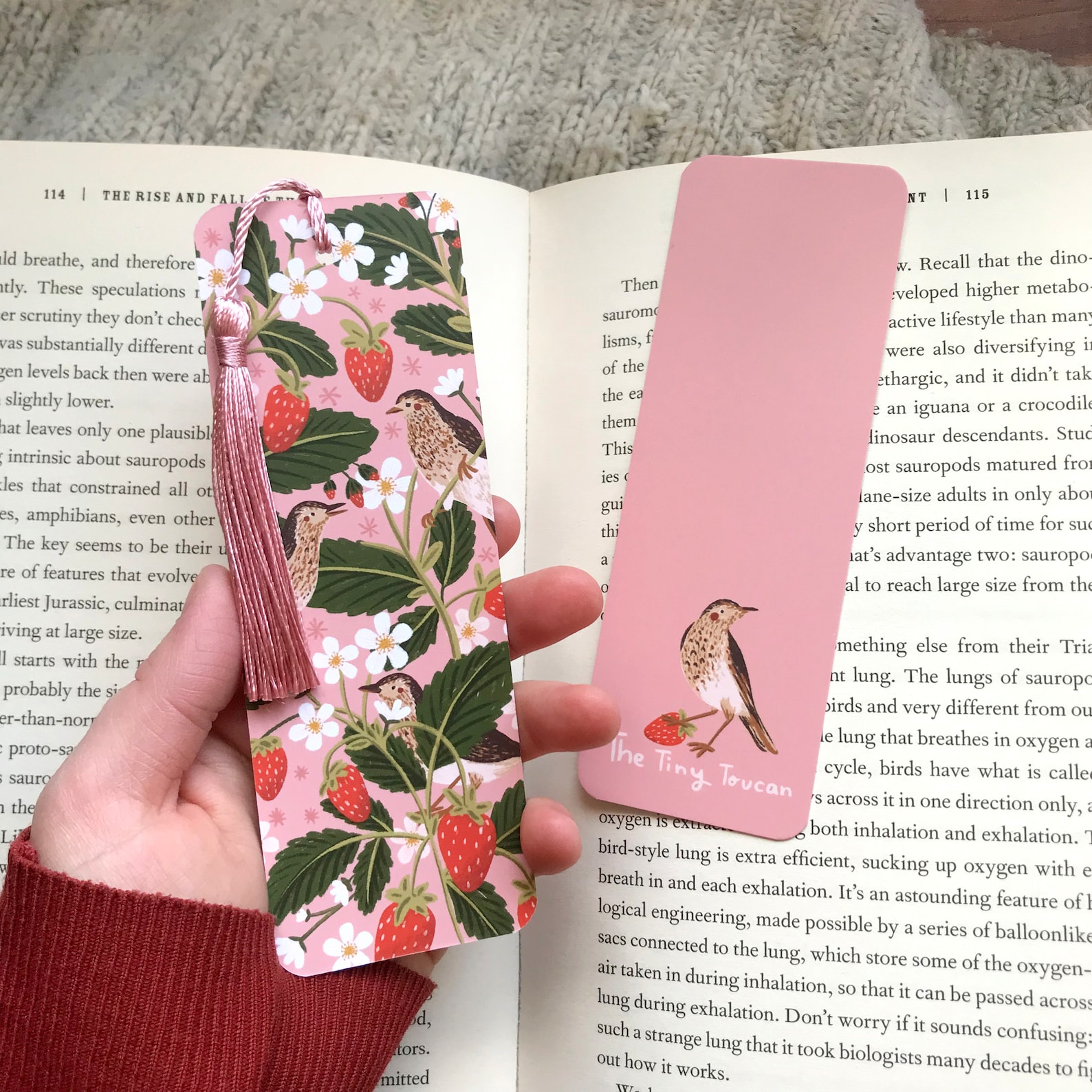 Strawberry Birds Bookmark. With or Without Tassel- Kawaii Illustrated ...
