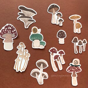 Little Mushies Gift Box- Illustrated Mushroom Stationery Gift Box ...