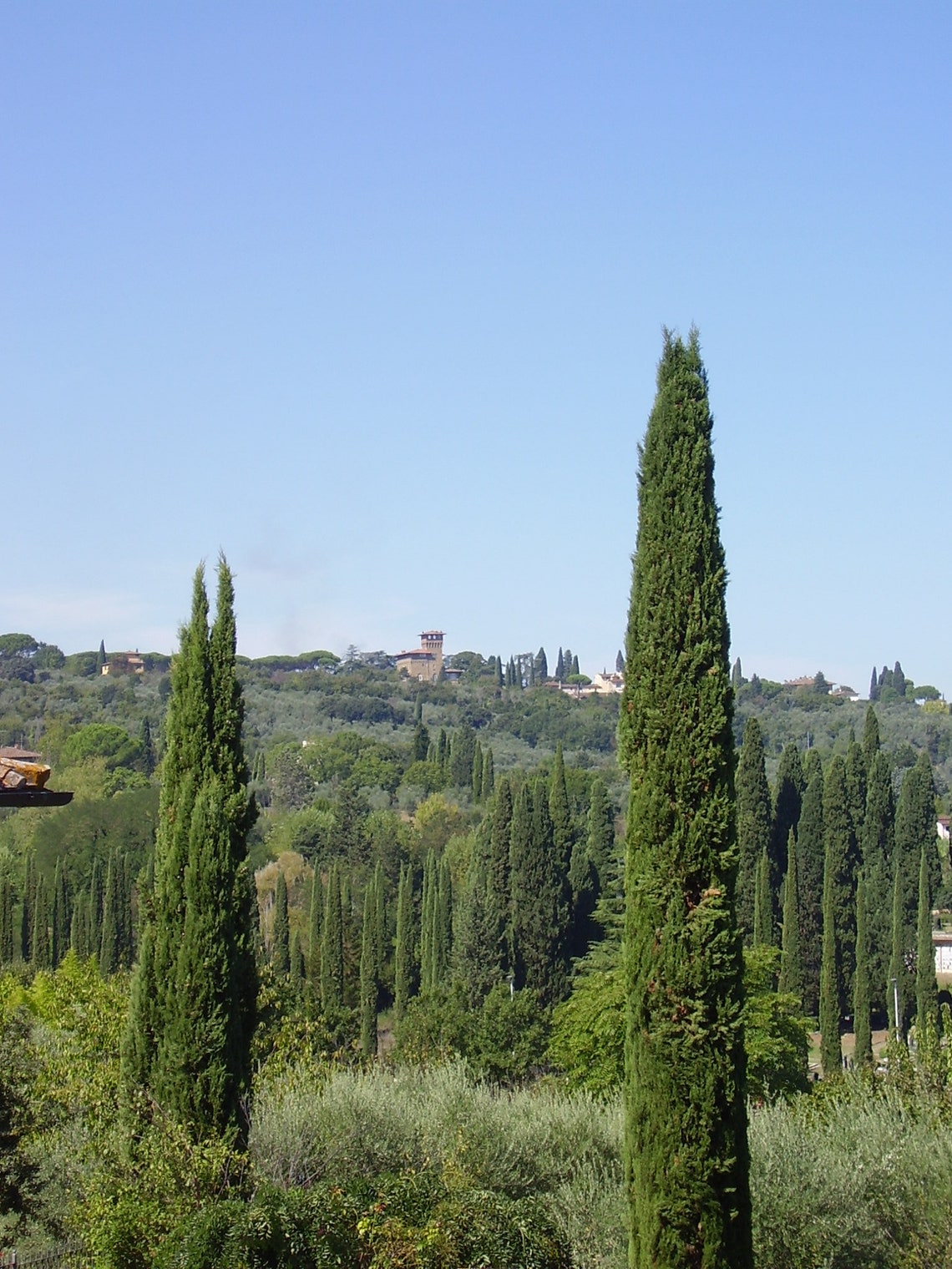 OLYMPUS C-370 ZOOM Classic Year 2000s Digital Compact Camera Y2K ...