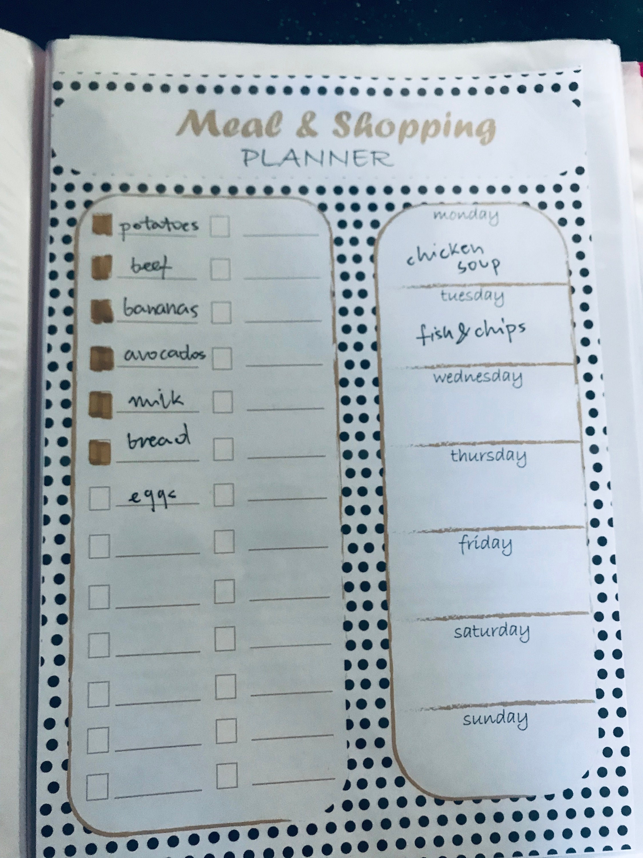 Meal and Shopping Planner Printable - Etsy