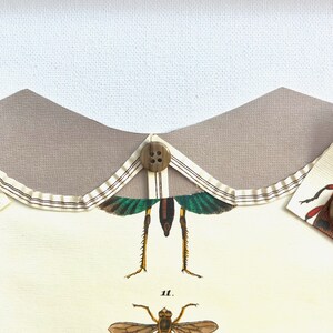 Insect Nursery Wall Art, Bug Baby Room Decor, Vintage Bug Print, Nature ...