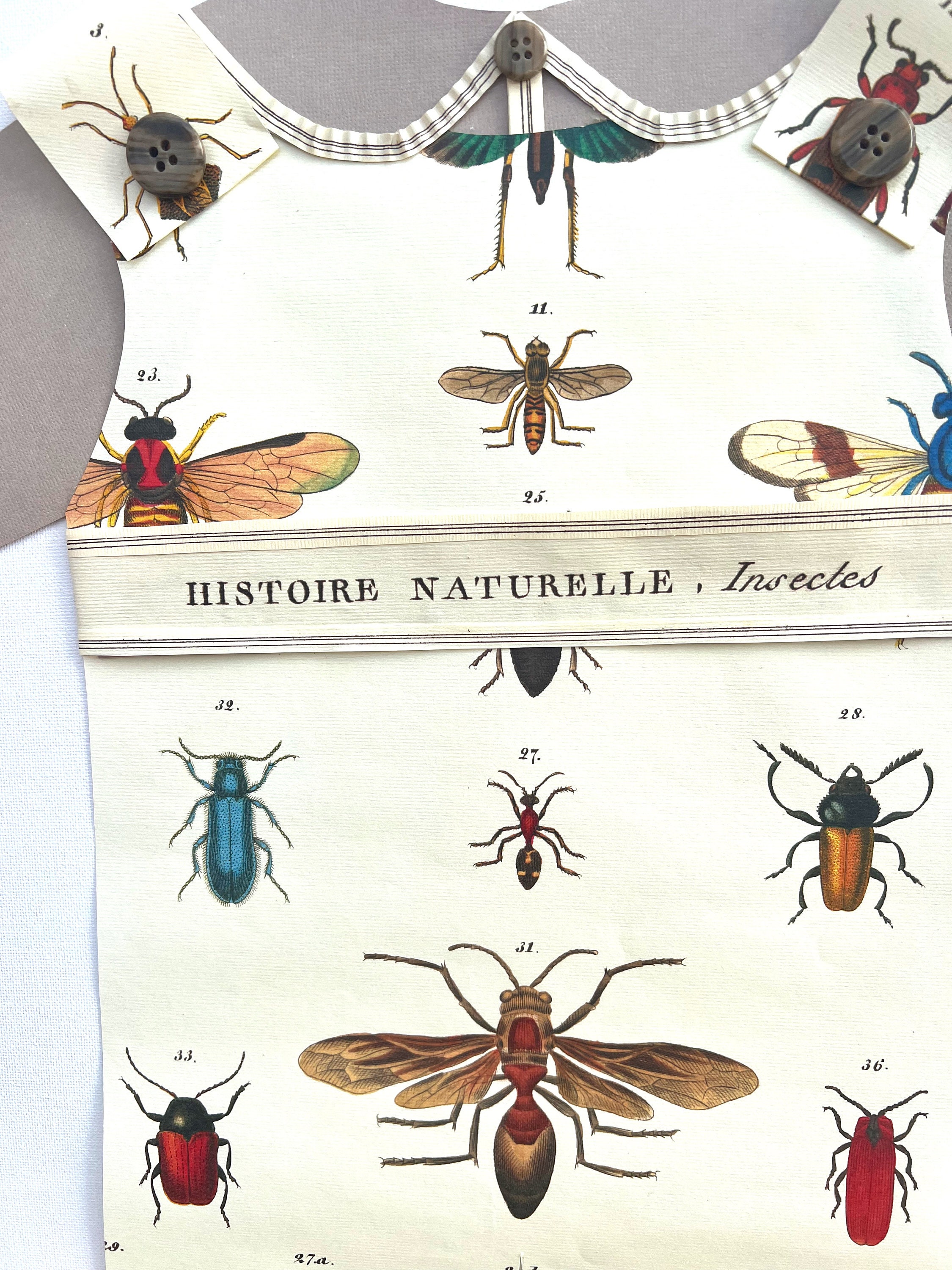 Insect Nursery Wall Art Bug Baby Room Decor Vintage Bug - Etsy