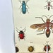 Insect Nursery Wall Art Bug Baby Room Decor Vintage Bug - Etsy