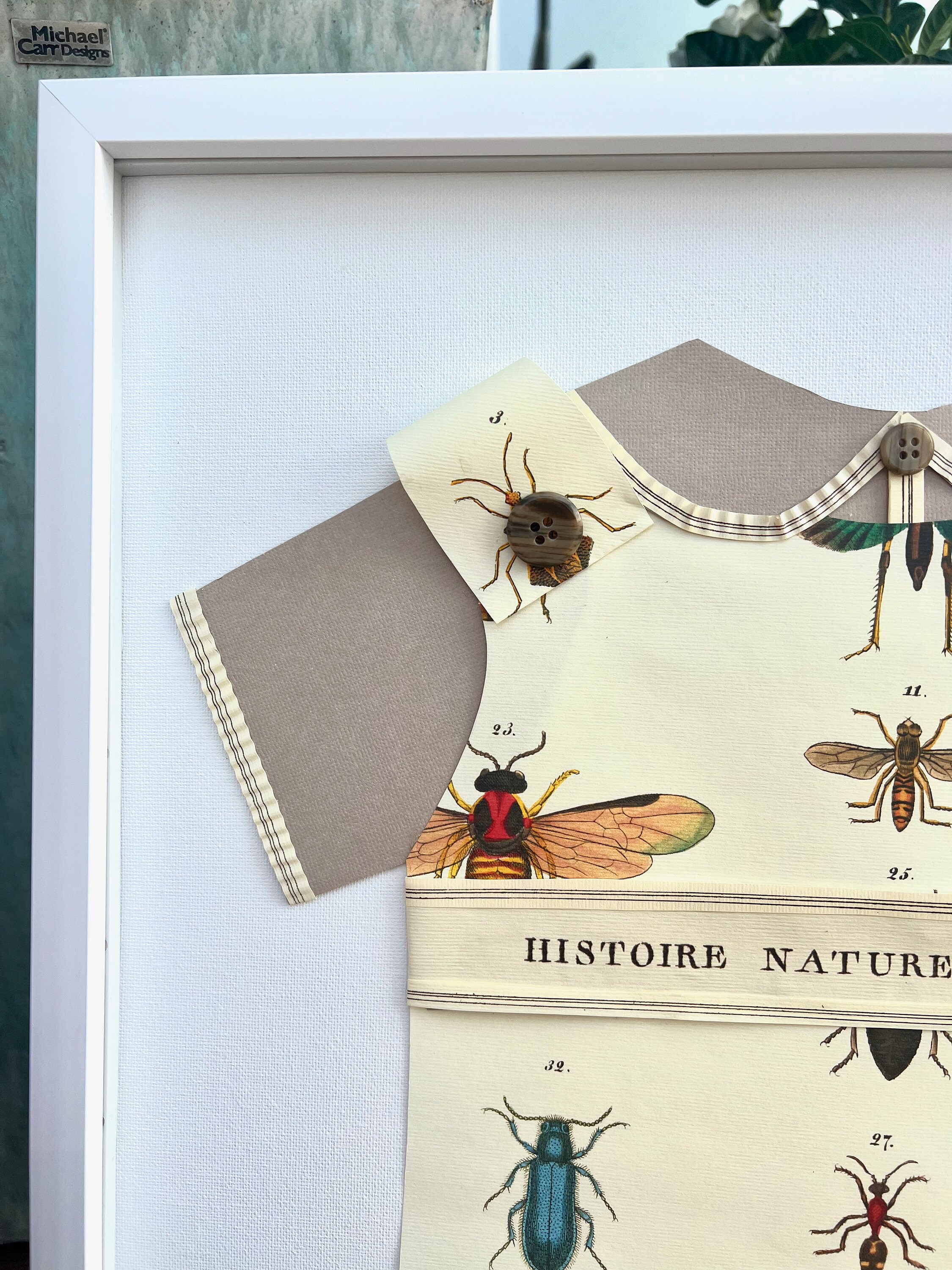 Insect Nursery Wall Art Bug Baby Room Decor Vintage Bug - Etsy